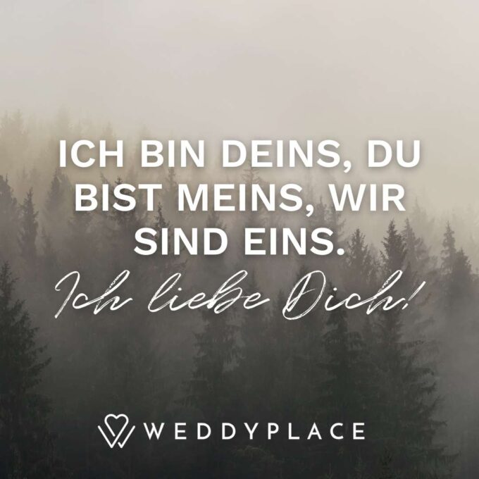 112 Liebessprüche | Sprüche für Liebe & Glück | WeddyPlace