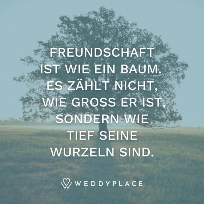 Beste Freundin Sprüche – 90 geniale Sprüche für wahre Freunde
